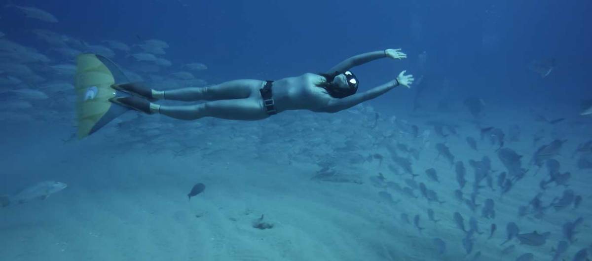 Tailored - Elios Sub