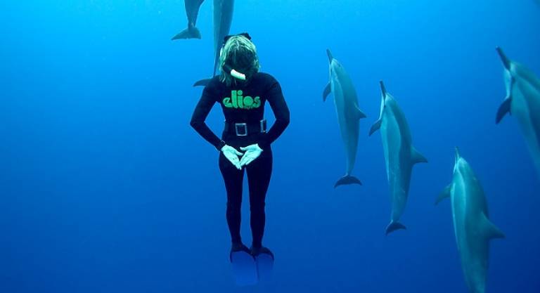 Freediving Wetsuits - Elios Sub