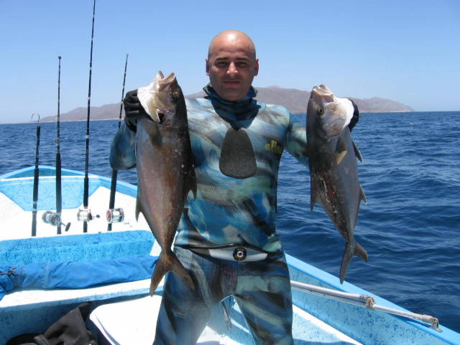 Mesh Skin - Elios Sub