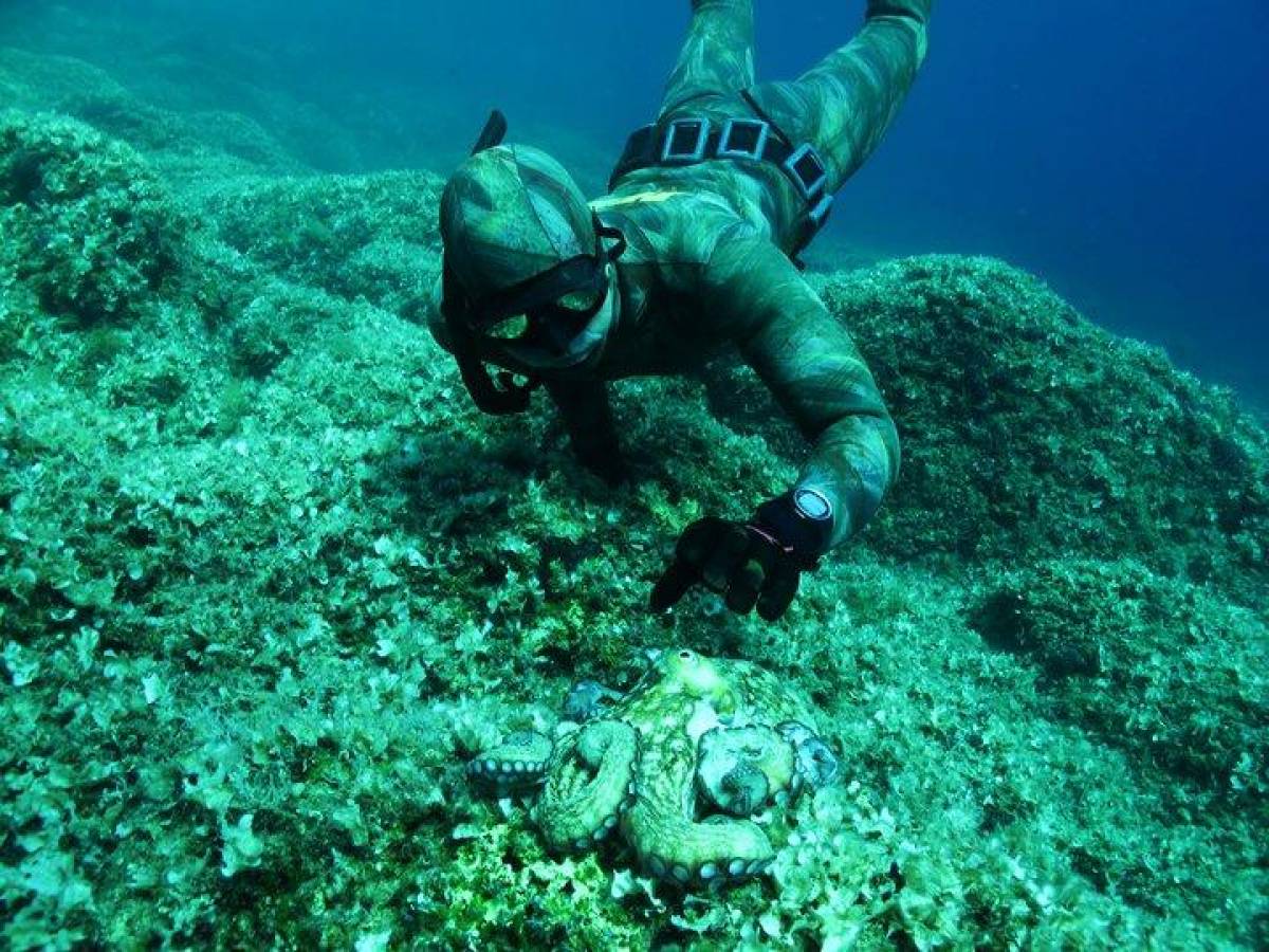 Wetsuit catalogue - Elios Sub