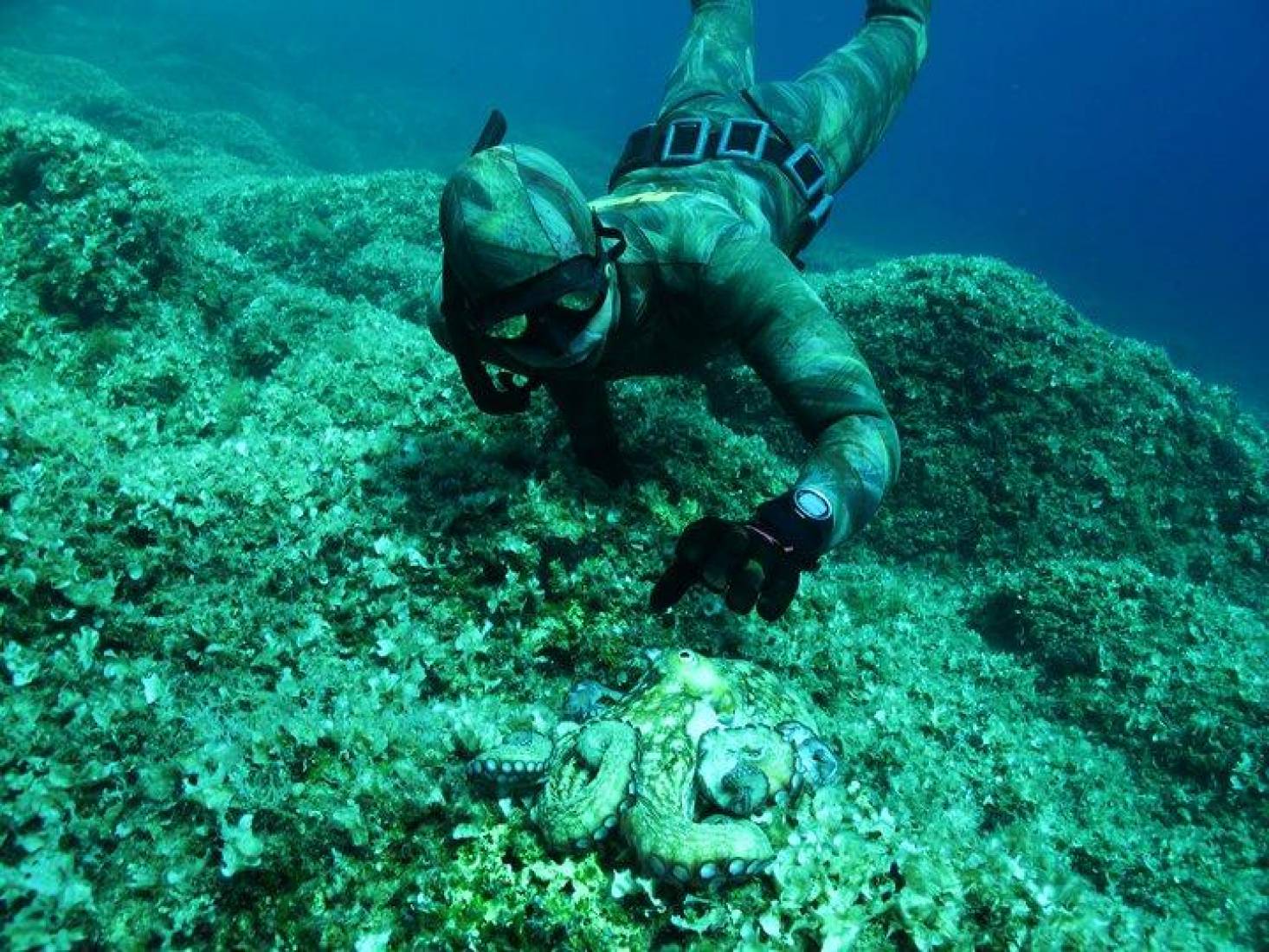 Wetsuit catalogue - Elios Sub